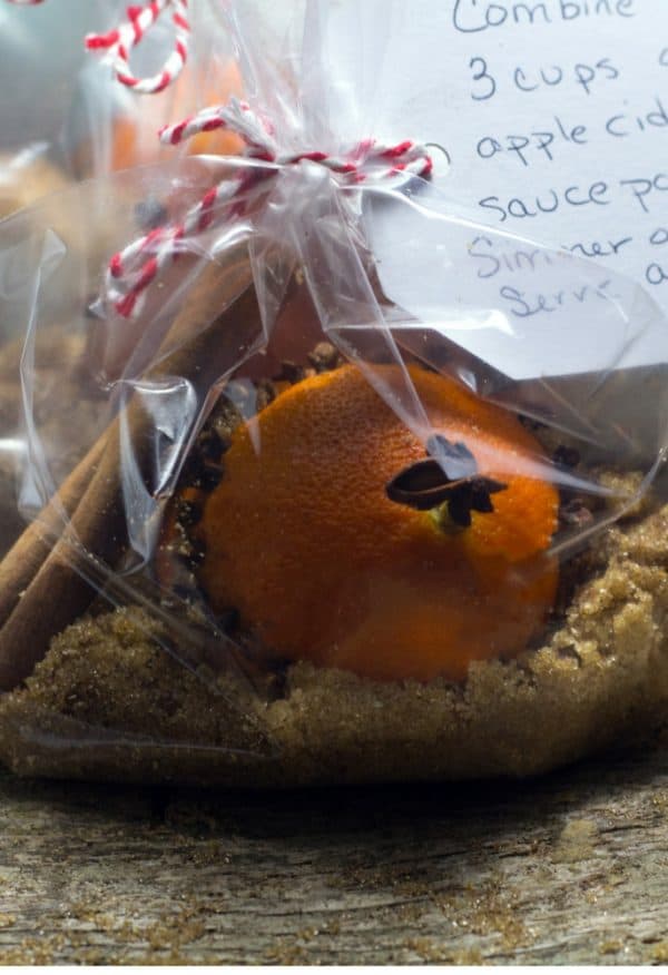 Homemade Cider Mulling Spice Mix - Everyday Eileen