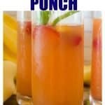 Fruity Summer Punch Recipe - Everyday Eileen