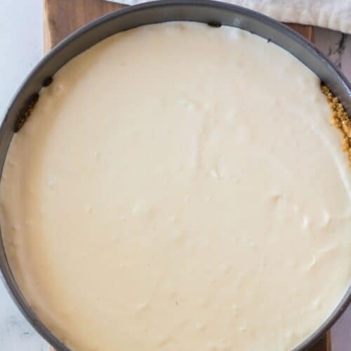 Reindeer Cheesecake Recipe - Everyday Eileen