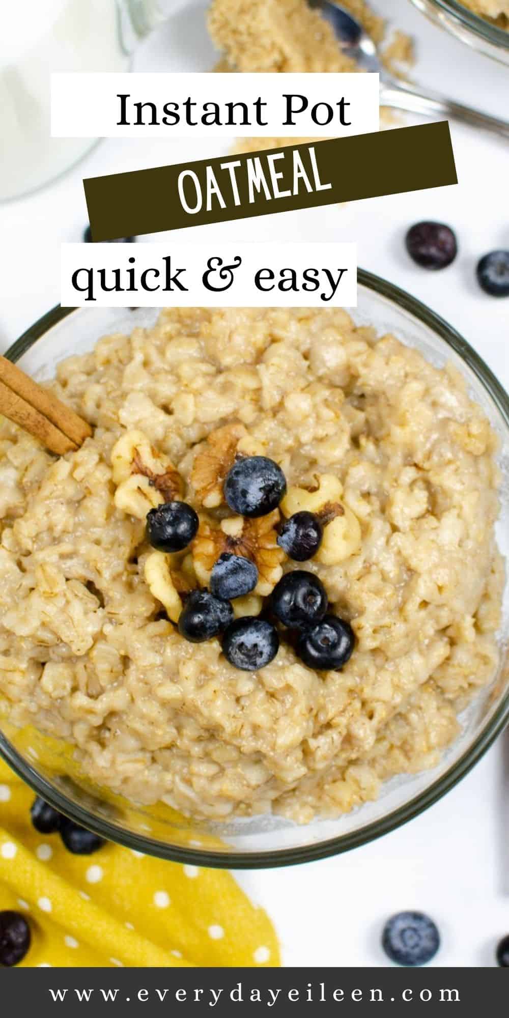 Instant Pot Oatmeal Recipe - Everyday Eileen