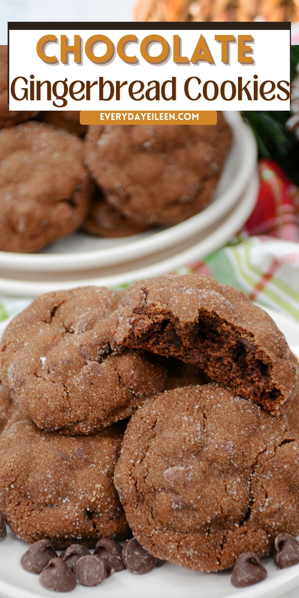 Chocolate Gingerbread Cookies - Everyday Eileen