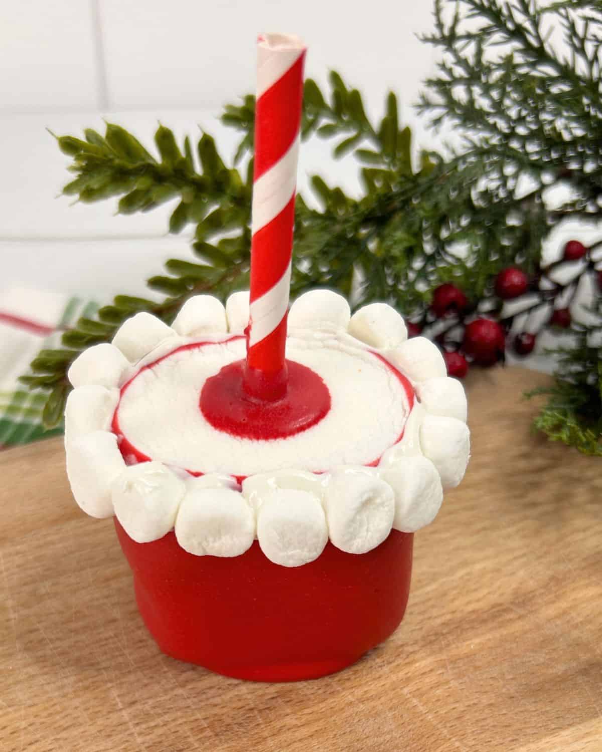 Santa Bag Marshmallow Pops - Everyday Eileen