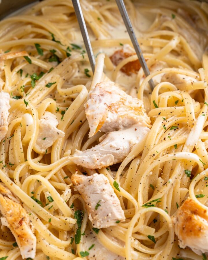 Chicken Alfredo Linguine - Everyday Eileen
